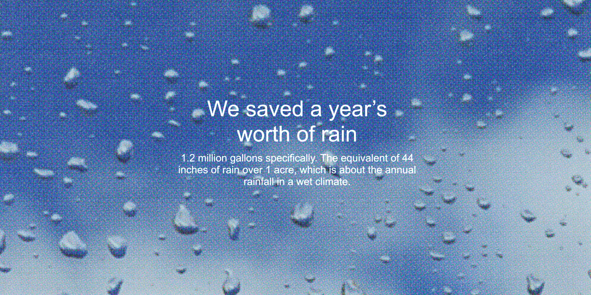 Everybody.World [Wholesale] — Made in Los Angeles – Everybody.World ...