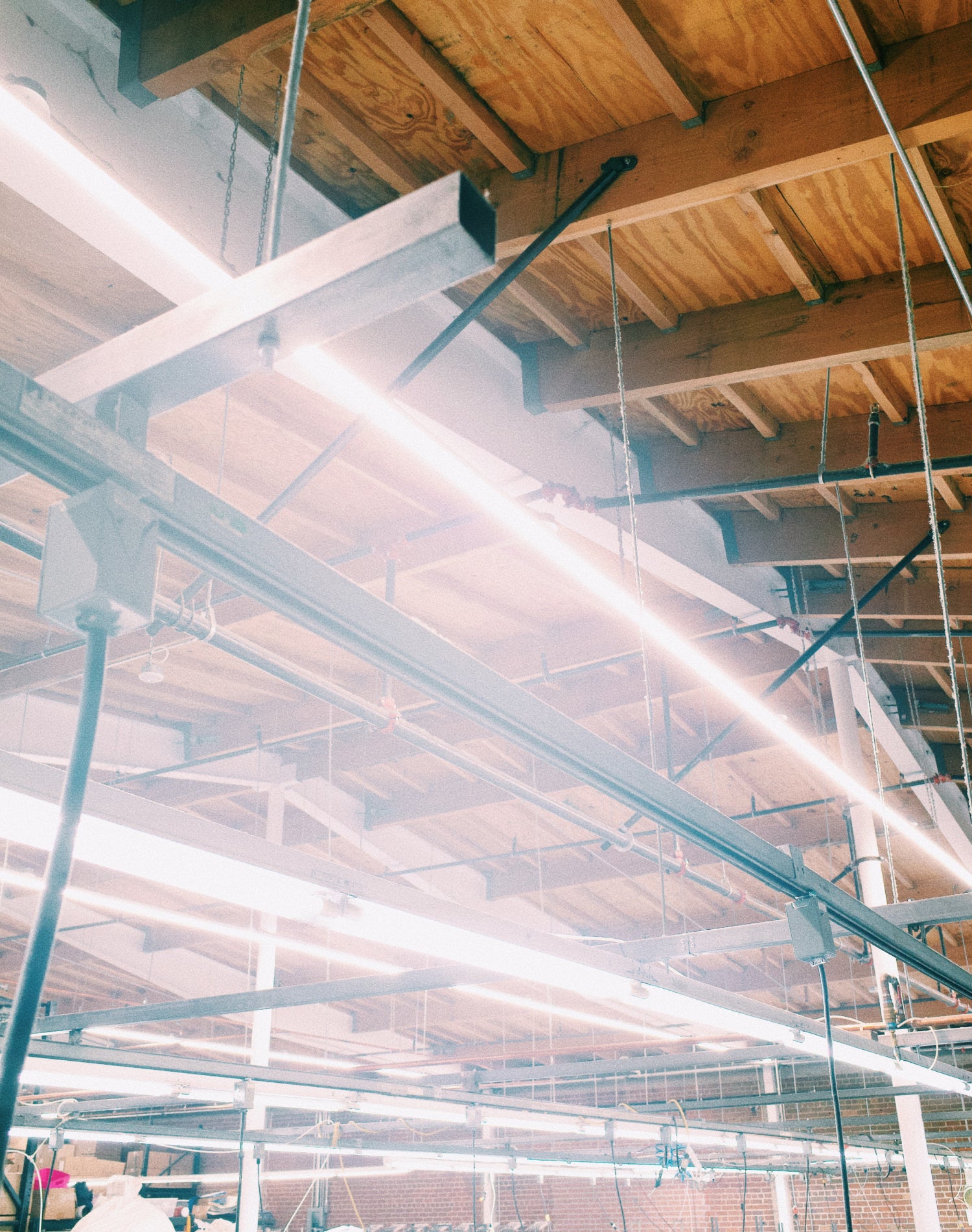 Everybody.World Wholesale