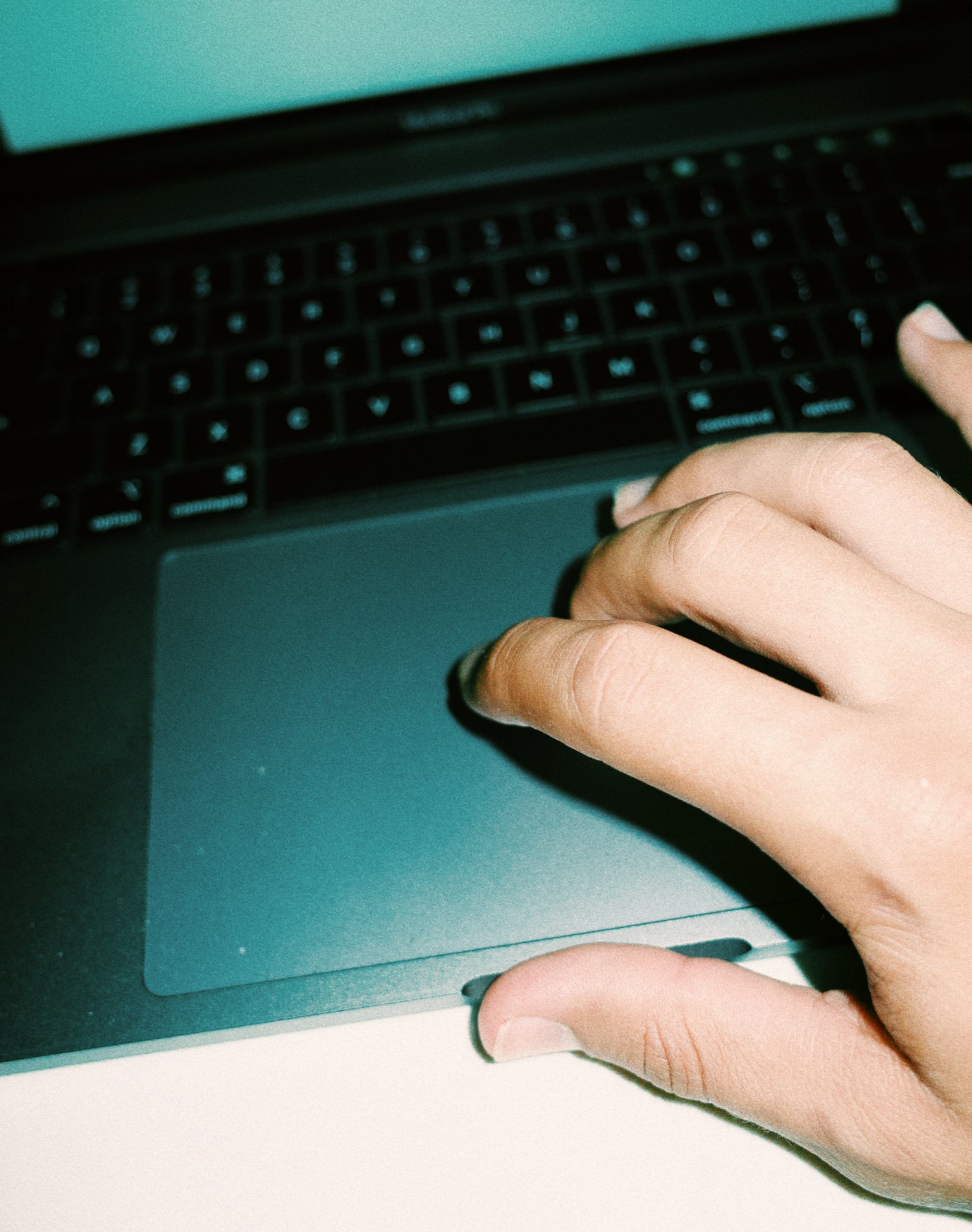 Everybody.World [Wholesale] — Made in Los Angeles – Everybody.World ...